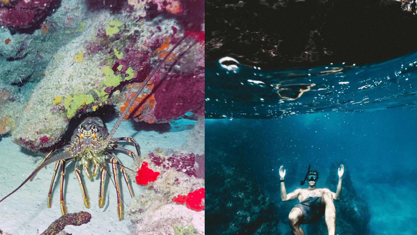 Celebrate Lobster Season in Belize - 2021 - Sunbreeze Hotel