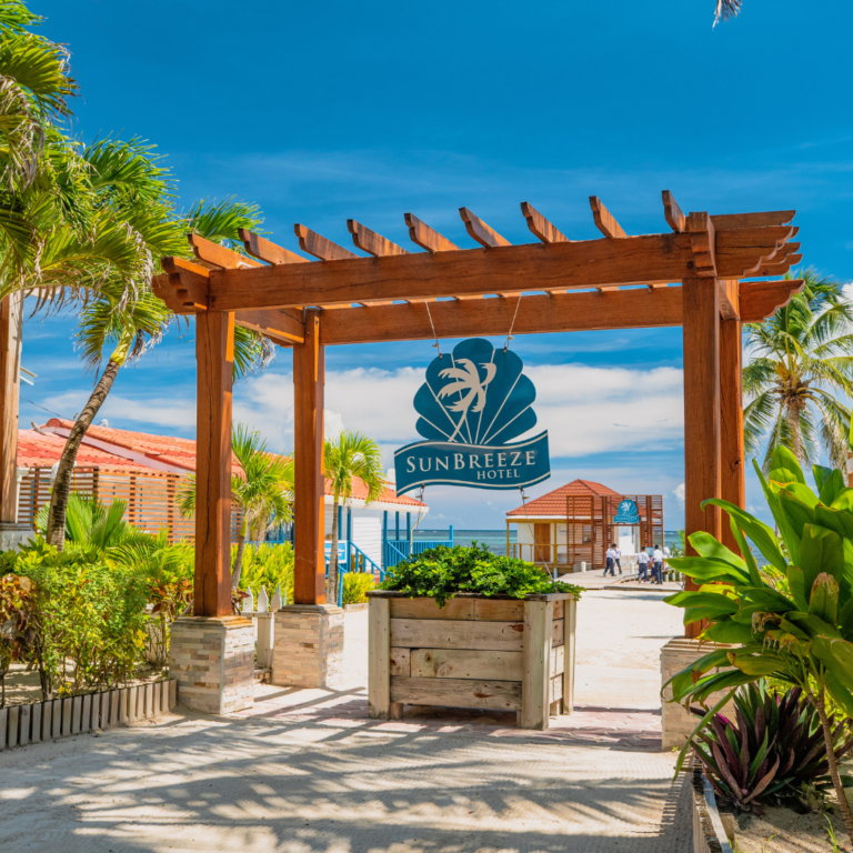 Belize Introduces New Digital Embarkation/Disembarkation E-Form for ...