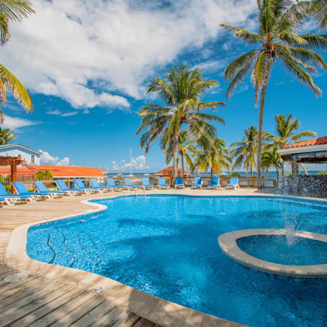 Belize Introduces New Digital Embarkation/Disembarkation E-Form for ...